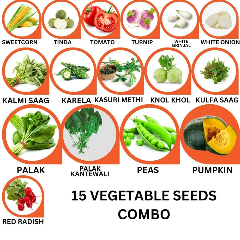 15 Varieties of Vegetable Seeds Combo -Vegetable Seeds Combo Pack ...
